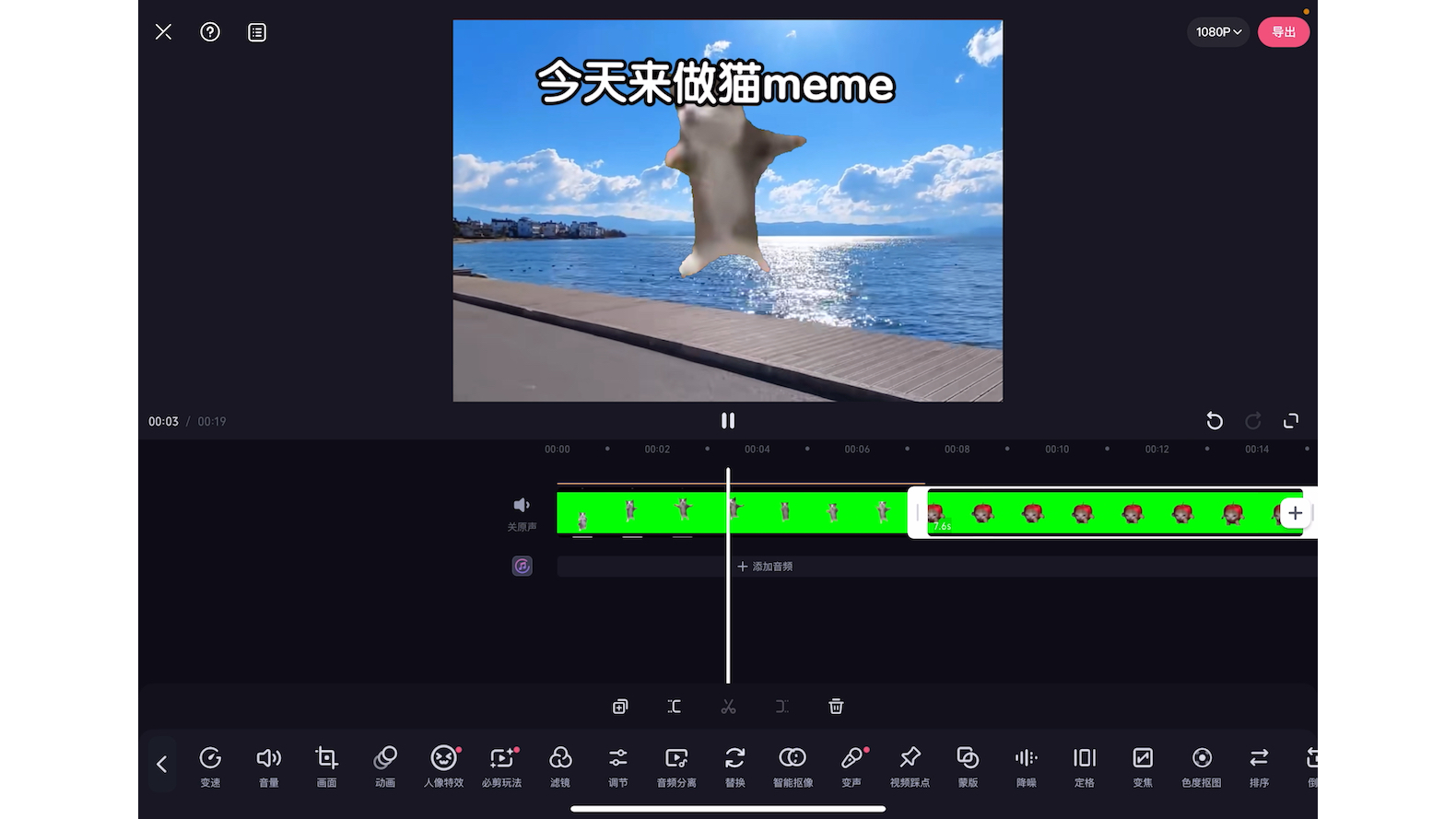 猫meme视频教程来了,快学起来吧