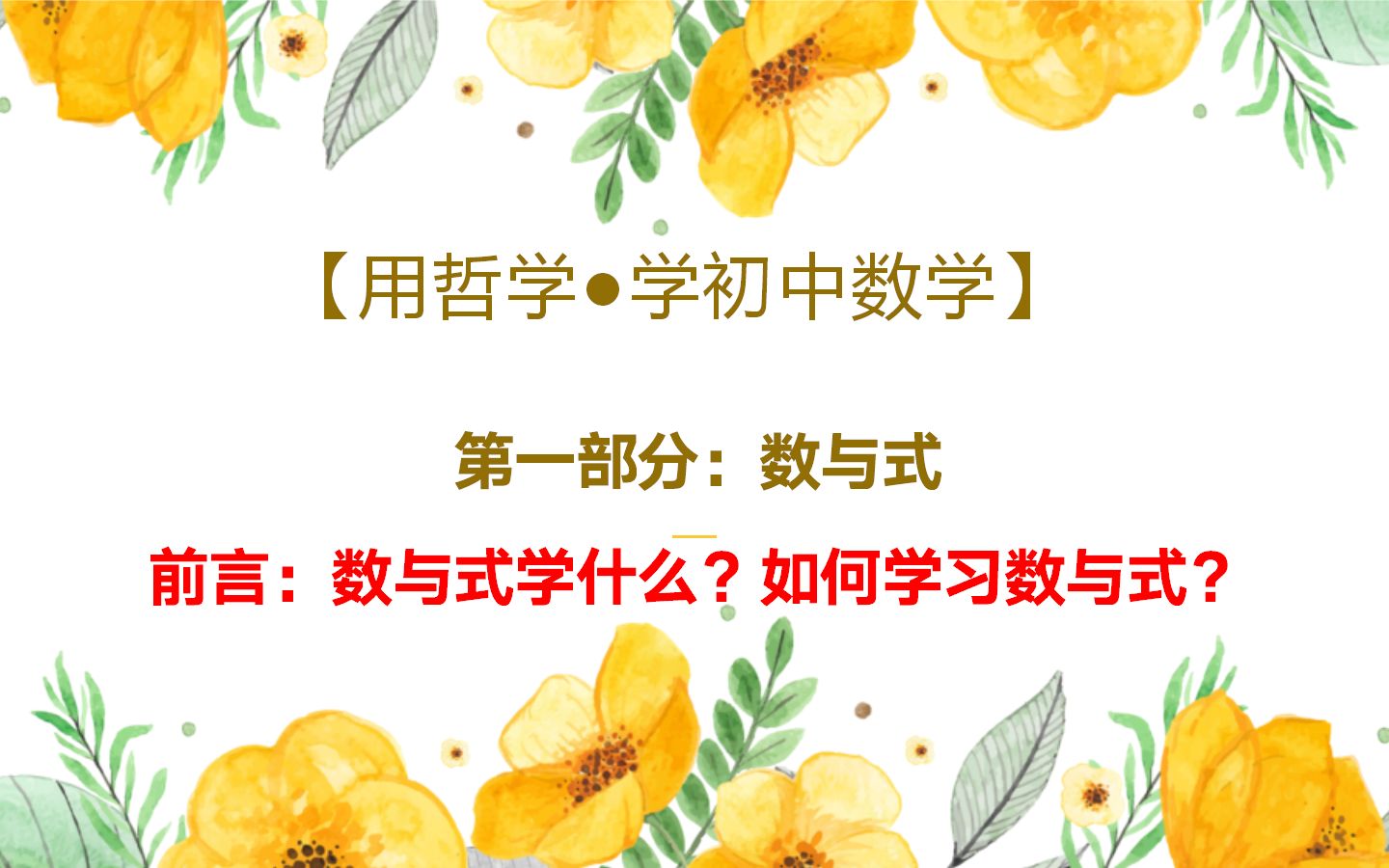 【哲学初中数学】1-0数与式:前言:什么是数式?如何学习数式(1)