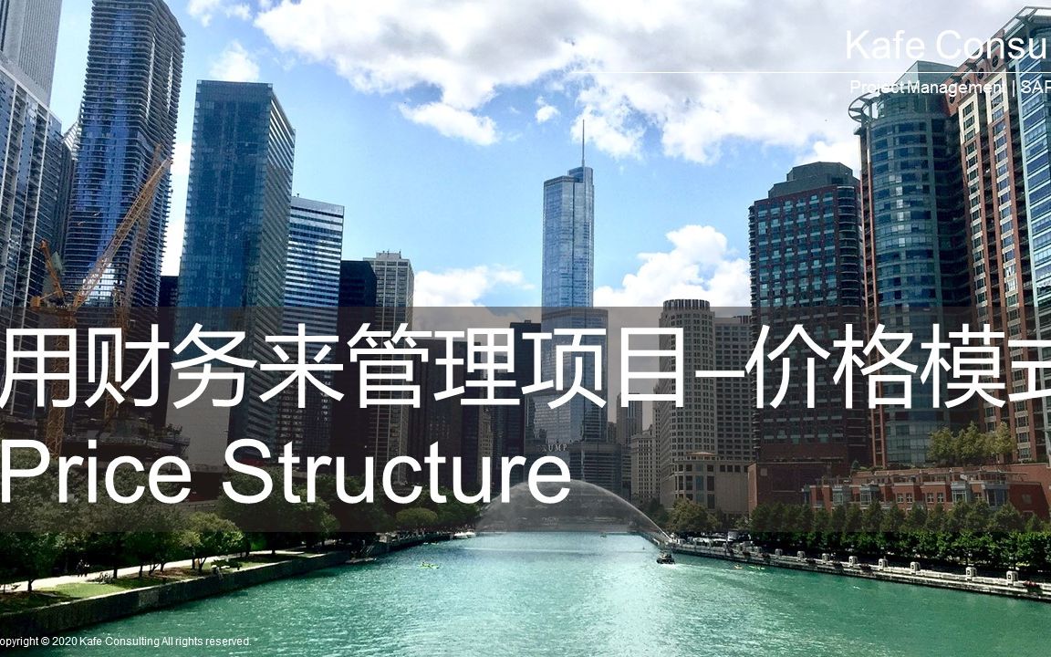 用财务来管理项目 - 价格模式