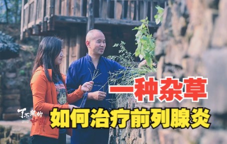 民间中医重用野生草药,一种堪比牛筋的杂草,对前列腺有啥功用?