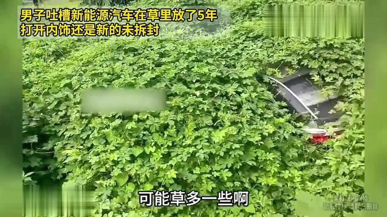 男子吐槽新能源汽车在草里放了5年,打开内饰还是新的未拆封