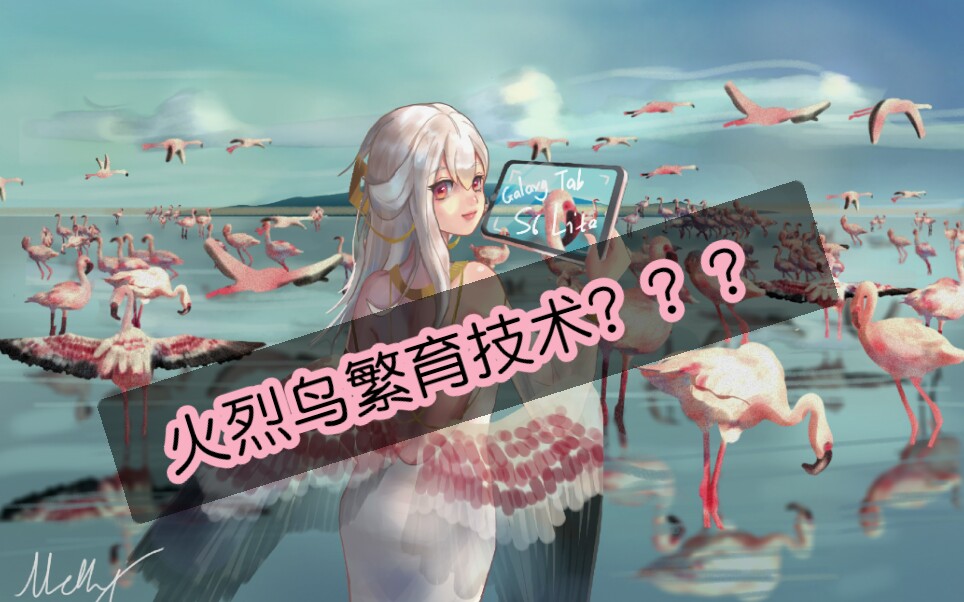 @画世界APP #画世界##三星平板S6 纳特龙湖的火烈鸟仙子