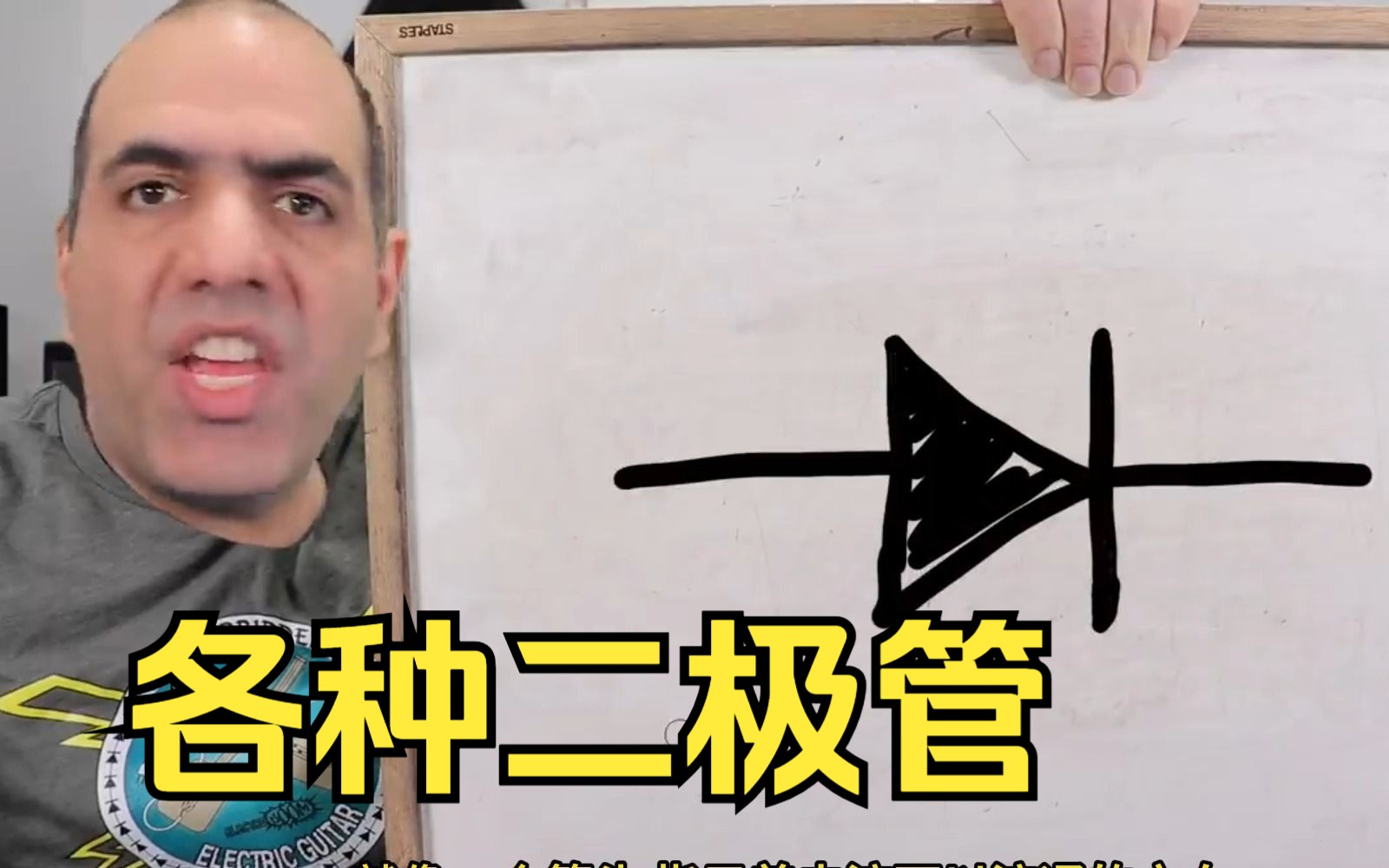 【作死物理大讲堂】二极管!各种二极管-中字-个人翻译