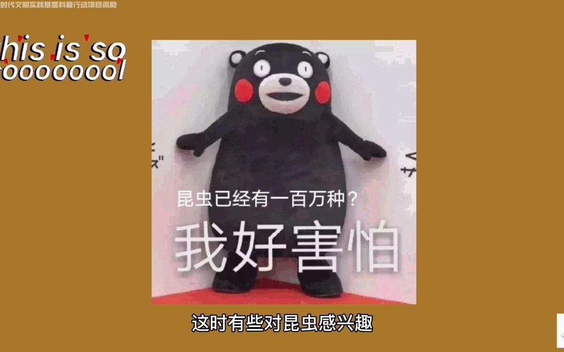 【昆虫学小知识】2、昆虫在自然界中的地位和位置