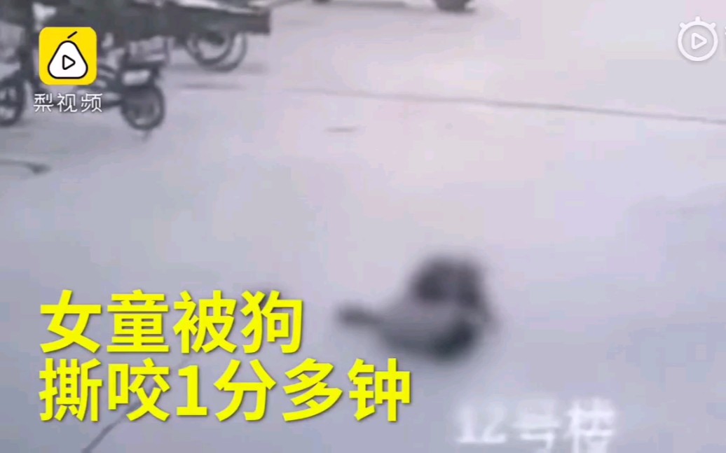 女童小区内被狗撕咬1分钟,姥爷:咬人前狗没栓绳子跑了40分钟