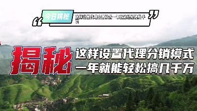 揭秘这样设置代理分销模式,一年就能轻松搞几千万