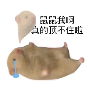 鸽鸽词 