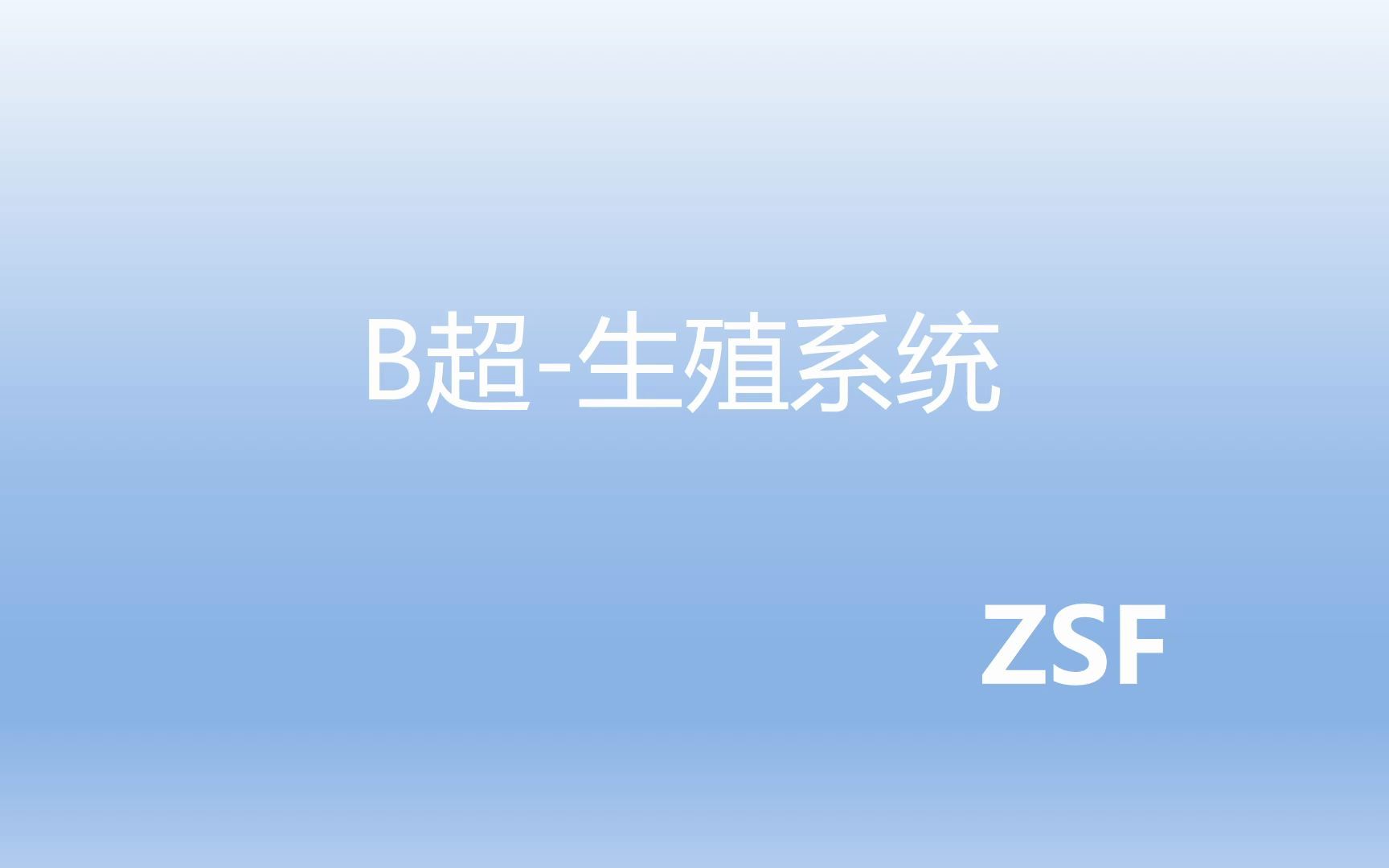 小动物B超学·生殖系统