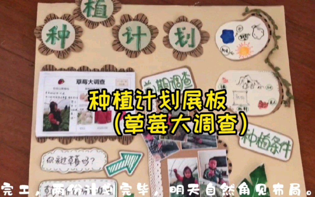 幼儿园植物角种植计划展板#植物角#幼儿园版报#种植计划调查表