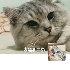 大黑和二爷 