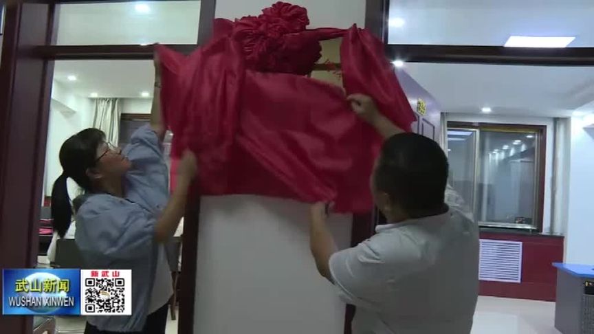 龙台镇城区流动党员党支部挂牌成立!