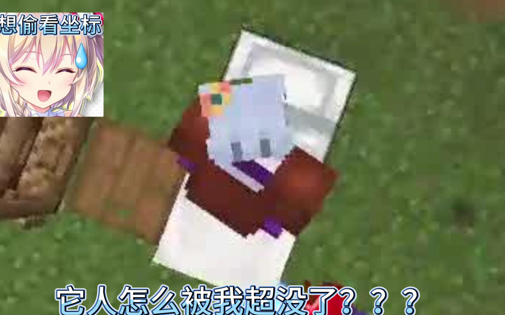 我的世界社会模拟 一方文明 死囚之海 盌㭗大人把人超没了?