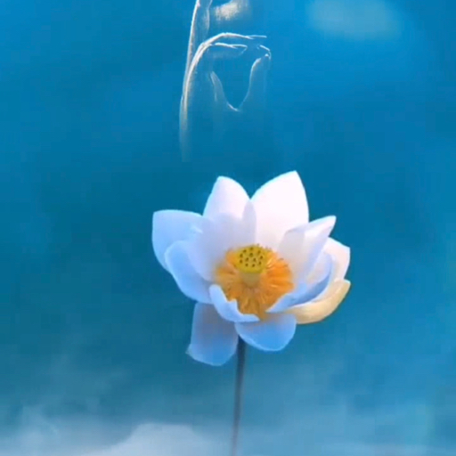 玄惠金 