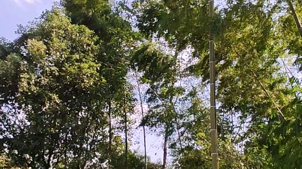 阳光+白云+微风≈好天气