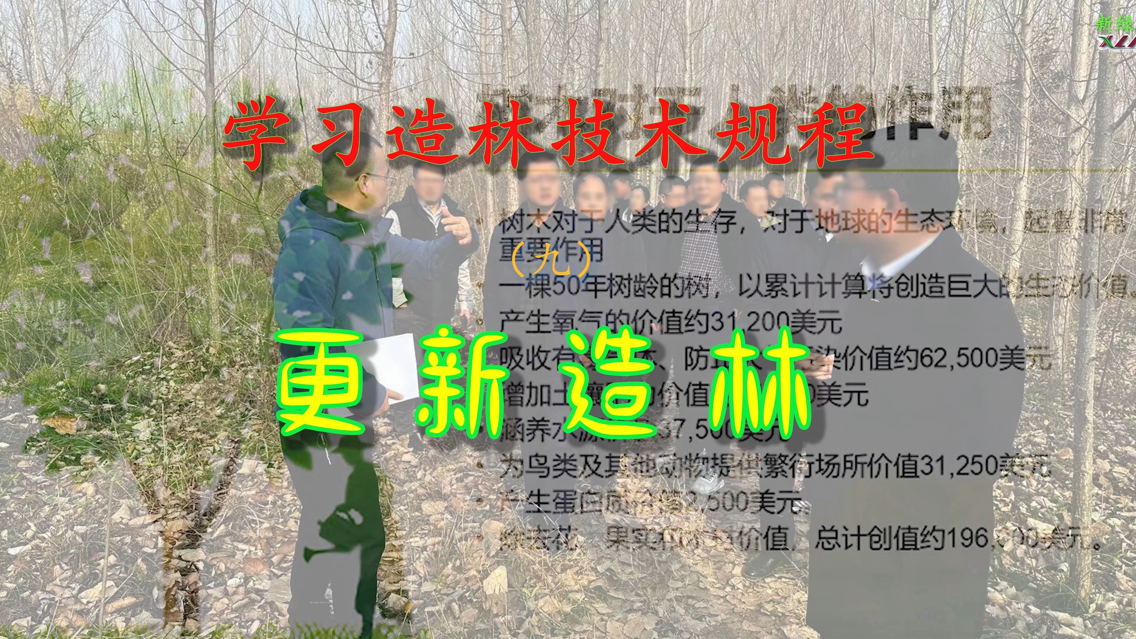 学习造林技术规程9更新造林