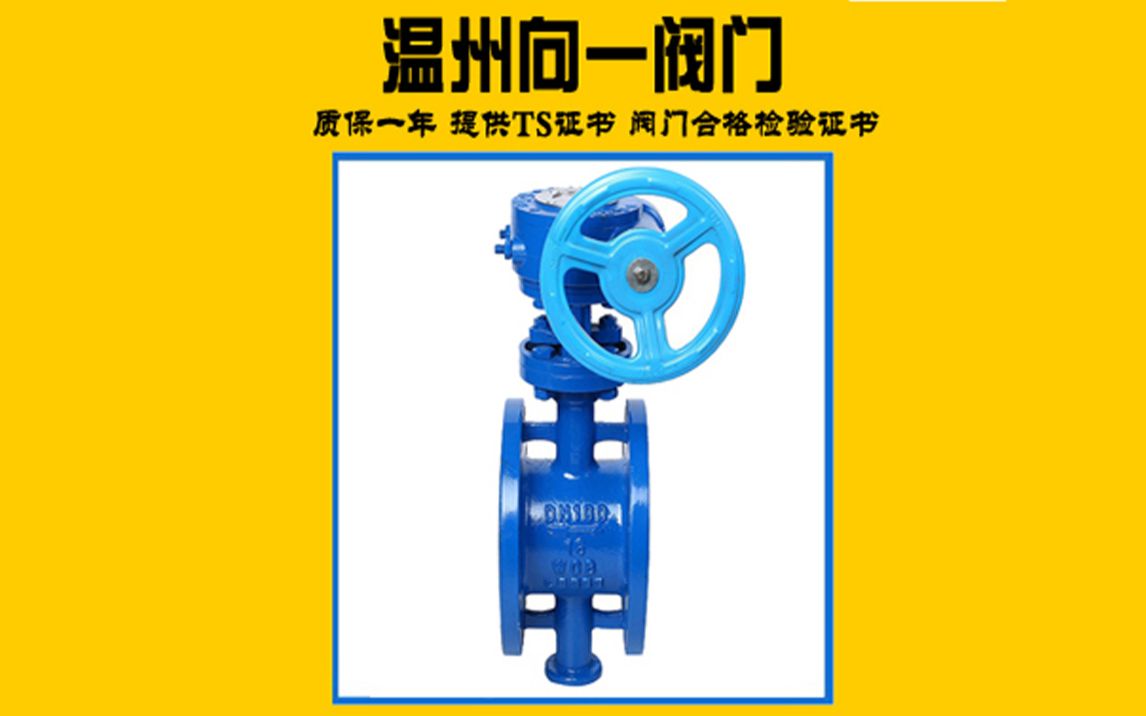 304不锈钢锥形过滤器,法兰过滤器质保一年,DN15水过滤器价格