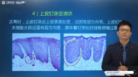 口腔执业/助理:上皮钉突呈滴状考点精讲#七颗牙学堂考点精讲#七颗牙...