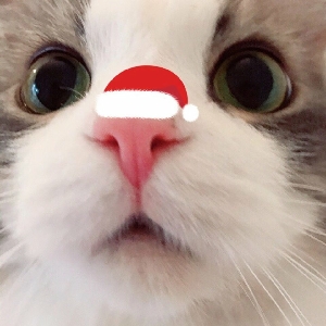 不敢超车的小陈 