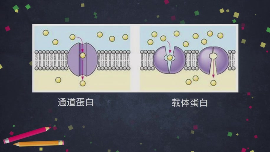 【空中课堂】高一生物学(人教版)-合格考复习2:细胞的代谢(1)