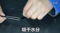 观察蚯蚓的运动微课