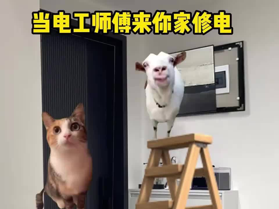 当电工师傅来你家维修