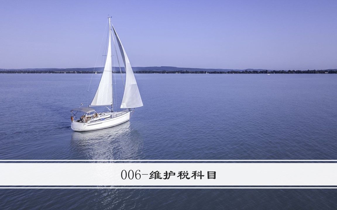 006-维护税科目