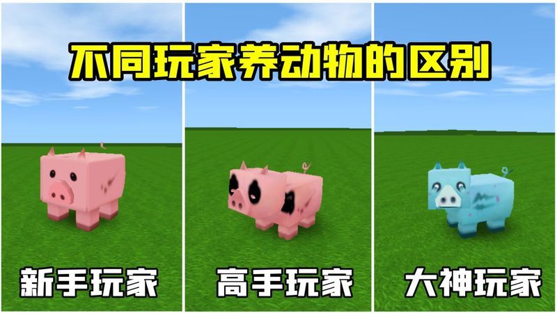 迷你世界:不同玩家养动物的区别,大神养的小猪居然有黑眼圈