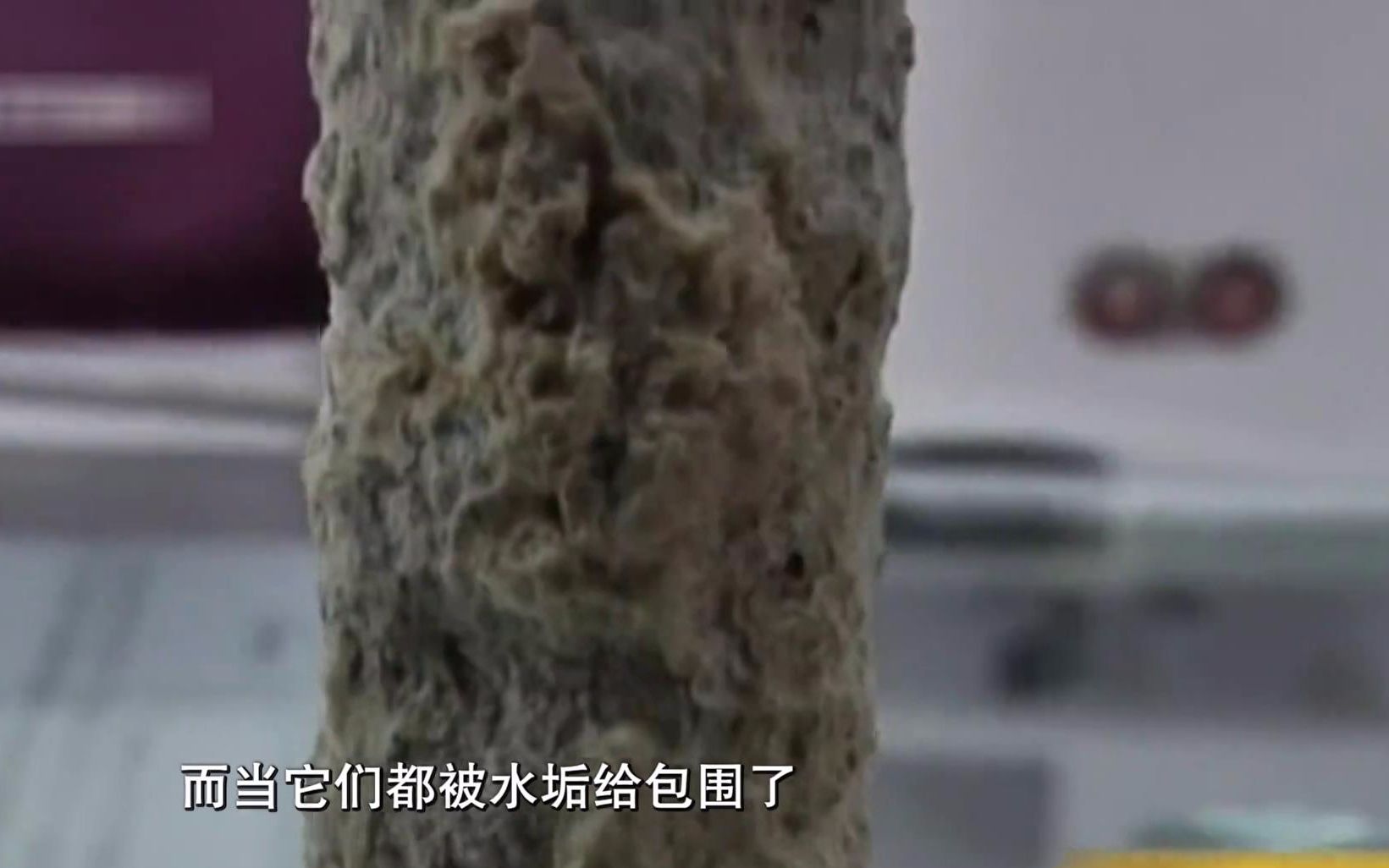 电热水器的镁棒需要定期更换 否则电费白交了