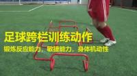 9个足球跨栏训练动作, 锻炼反应能力, 敏捷能力和身体的机动性