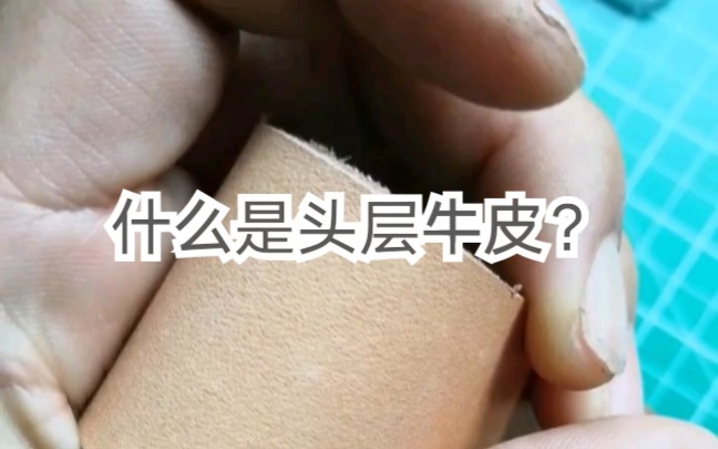 如何鉴别真假牛皮