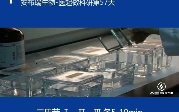 【生物医学实验室日常】组织芯片的实验制作技巧