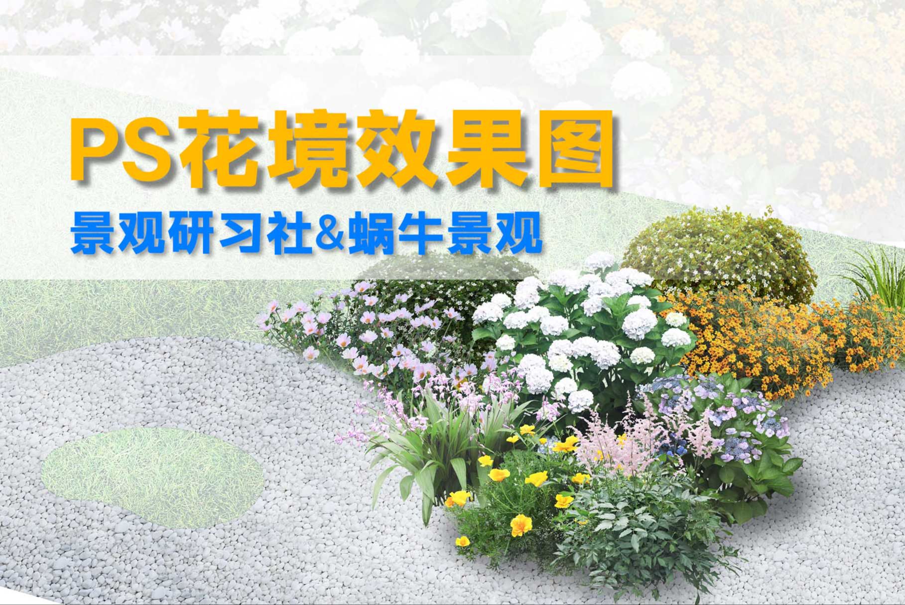 PS花境效果图-花境、花园景观设计