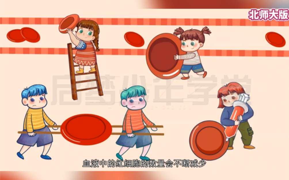 ...《血细胞的特点和作用》北师大版,课前预习,课后复习,做题练习,重点...