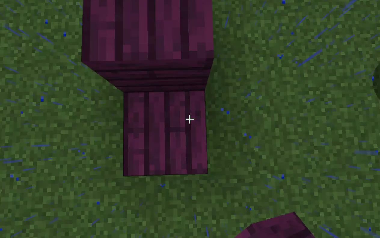 Minecraft 1.16.5 -连点器测试