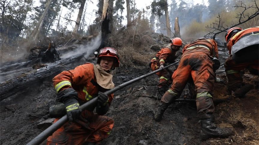 防范森林火灾、筑牢防火线!西藏