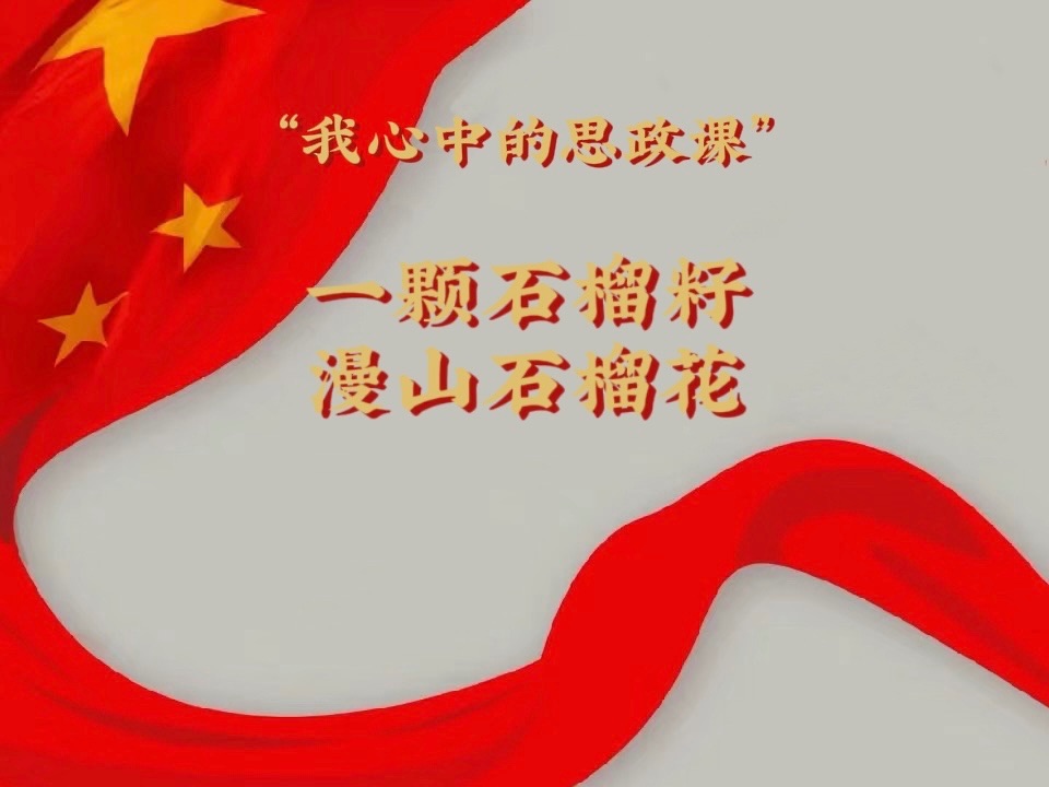 《一颗石榴籽 漫山石榴花》“我心中的思政课”第八届全国高校大学...
