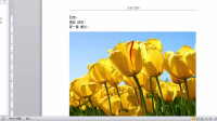 57怎样给Word文档分页和分节,全国计算机等级考试一级,计算机基础及...
