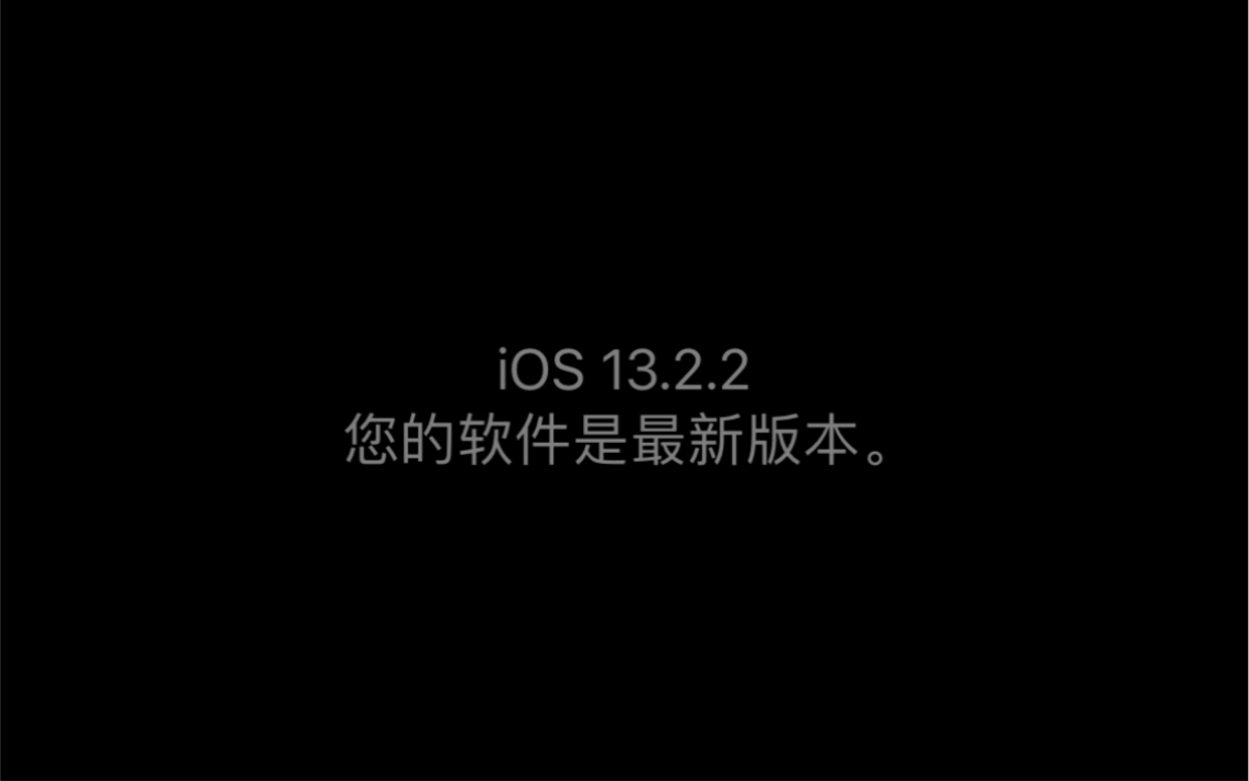 IPhone X 13.2.2不严谨后台测试