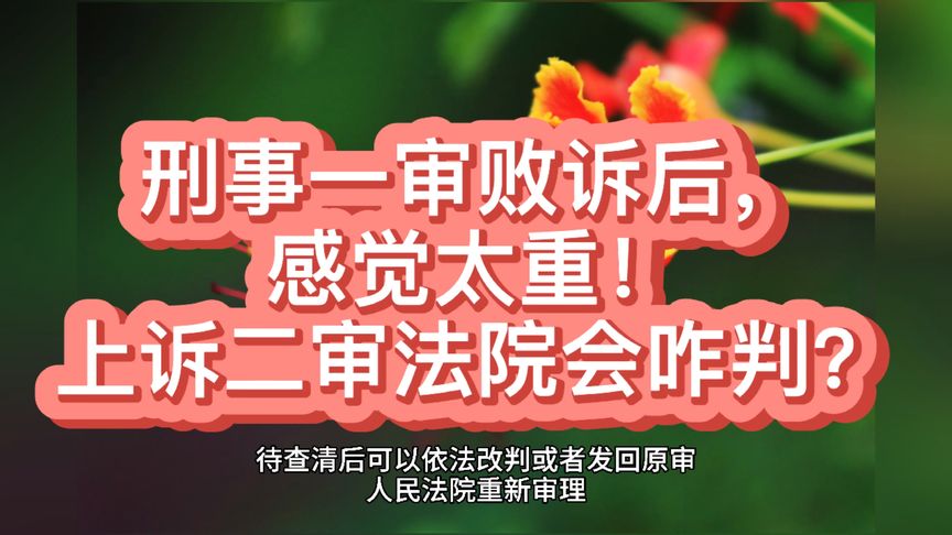 刑事一审败诉后,感觉判的太冤,继续上诉后二审法院会怎么判呢?