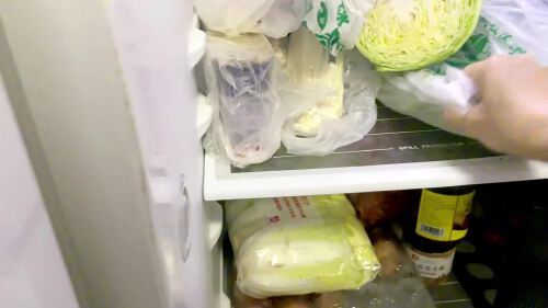 肥猫岁数大了吃饱就想睡觉可小猫咪老想和它一起玩!