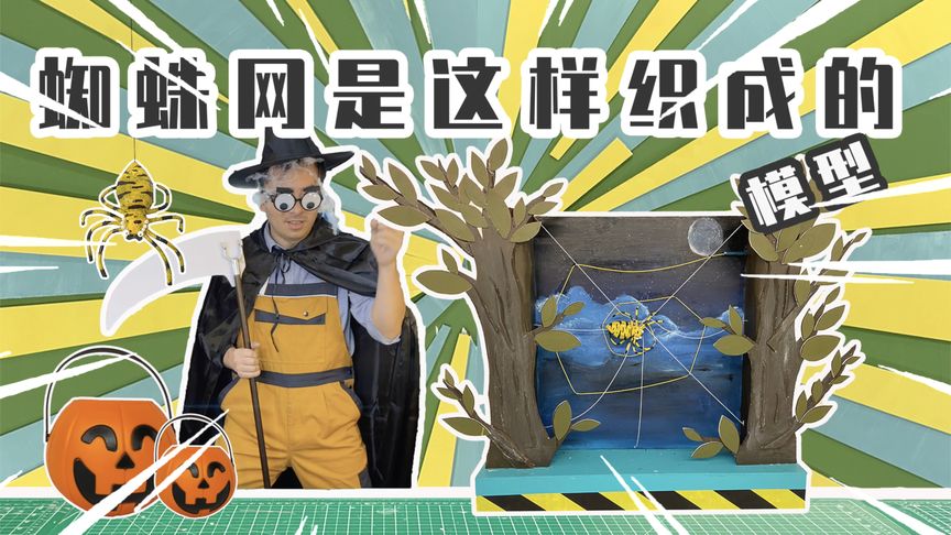 蜘蛛网是怎么织成的?蜘蛛为什么不会被黏在网上?