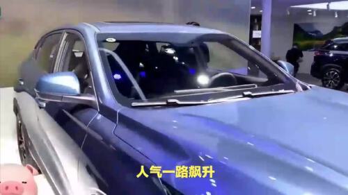 SUV风光背后竟是环境噩梦!全球最火车型正被环保组织围攻