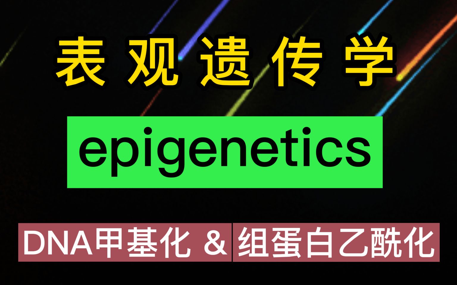 表观遗传学