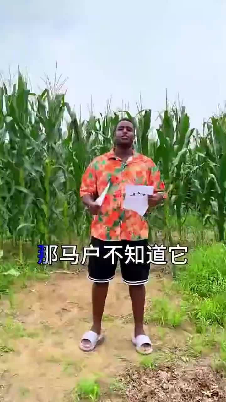 家人们 循环播放好几天了!