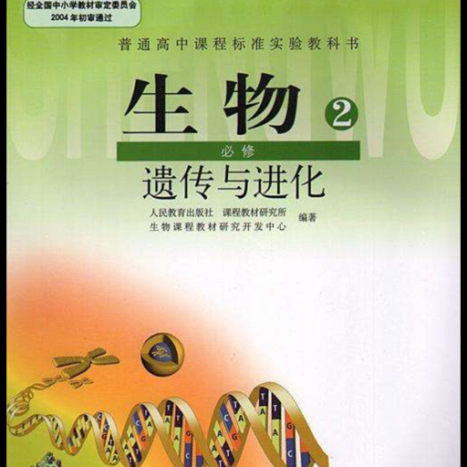 4v老师 