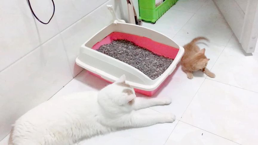 哥,你知道啥叫逆时针转动吗?