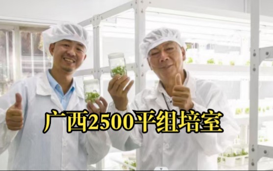 组培室设计建设,全套组培仪器设备,卧式高压灭菌器,组培架,超净台,...