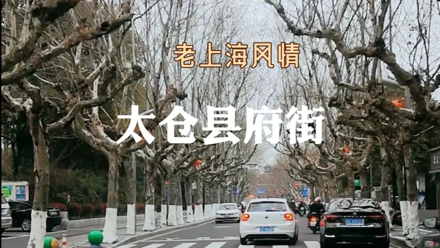 全国百强县第六位的江苏太仓市,有条颇具文艺气息的街道。
