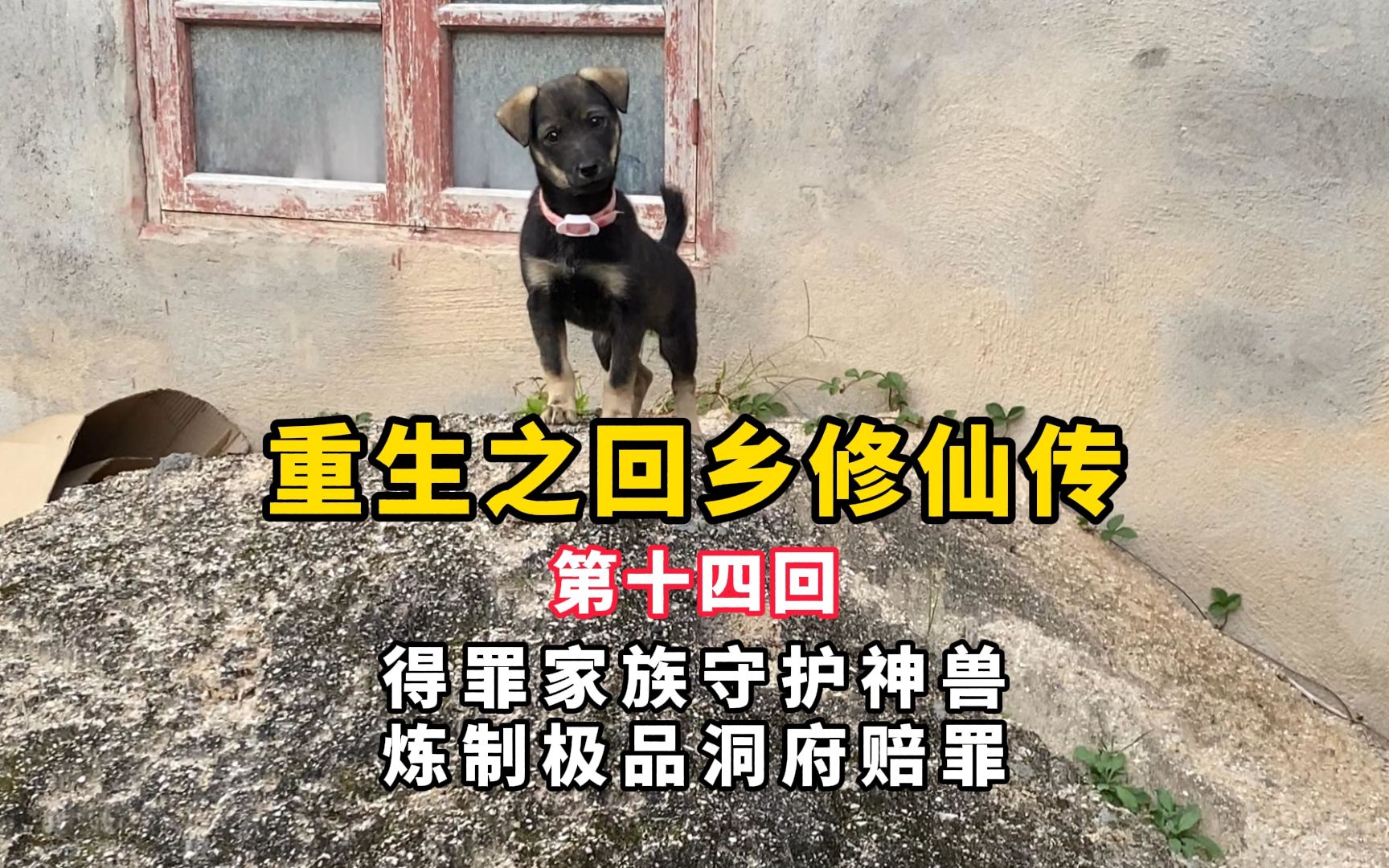 (凡人严禁发送弹幕)《重生之回乡修仙传》:得罪家族守护神兽,炼制极品...