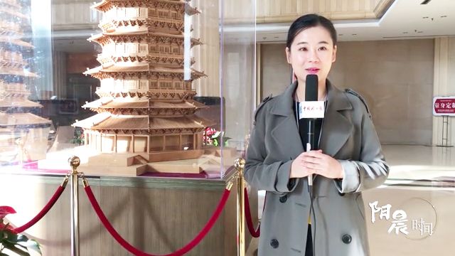 阳晨时间:中国妇女第十二次代表大会视频播报